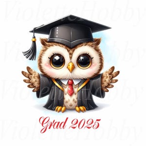 5 Graduation Clipart/watercolor/digital Download /graduation Owl ...