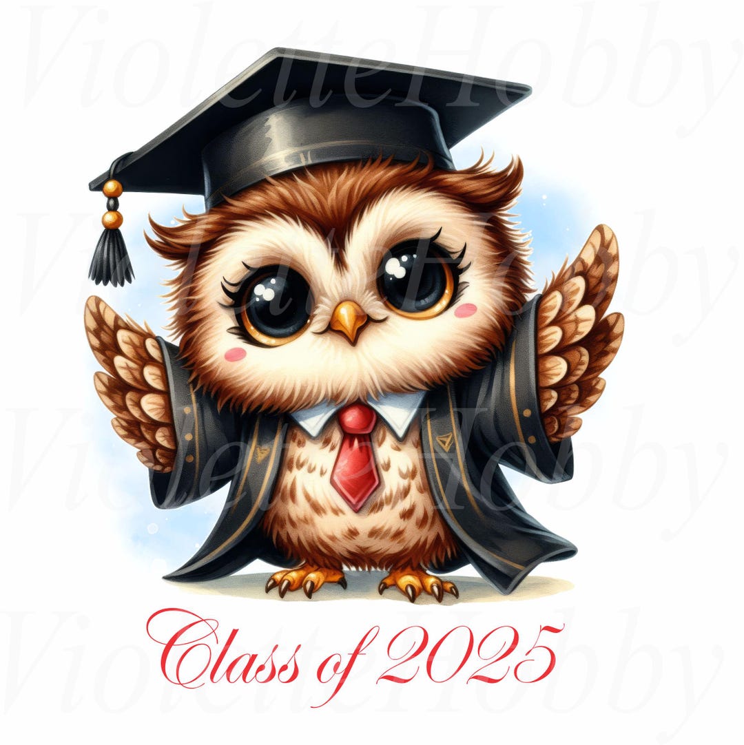 5 Graduation Clipart/watercolor/digital Download /graduation Owl ...