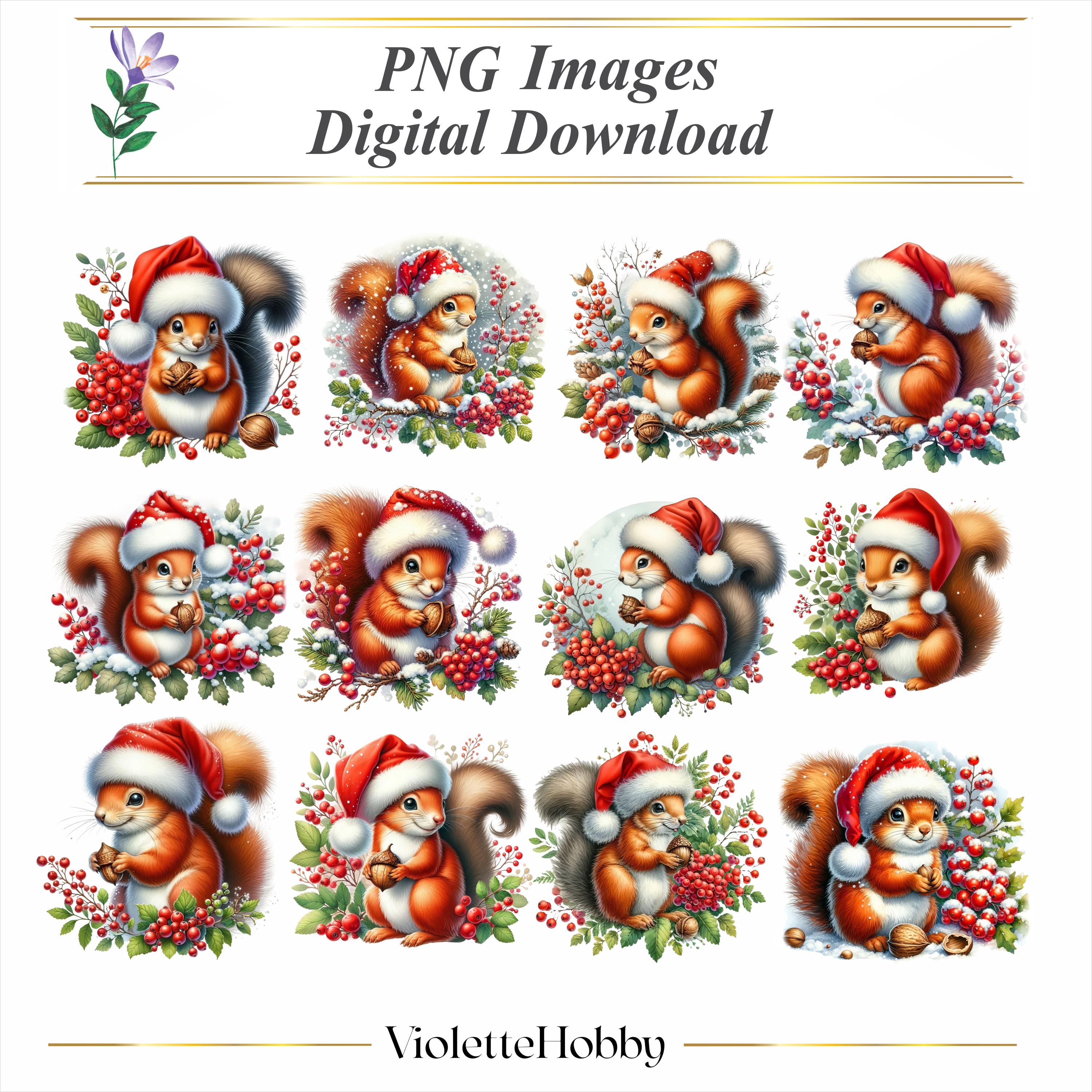 Christmas Squirrel Clipart: Holiday Santa Hat PNG (digital Download ...