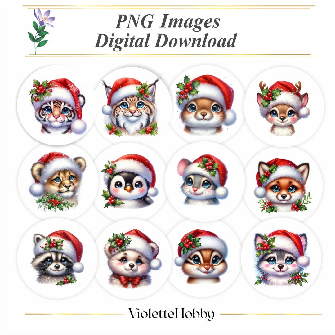Christmas Animal Advent Calendar PNG Images: Santa Hats (digital ...