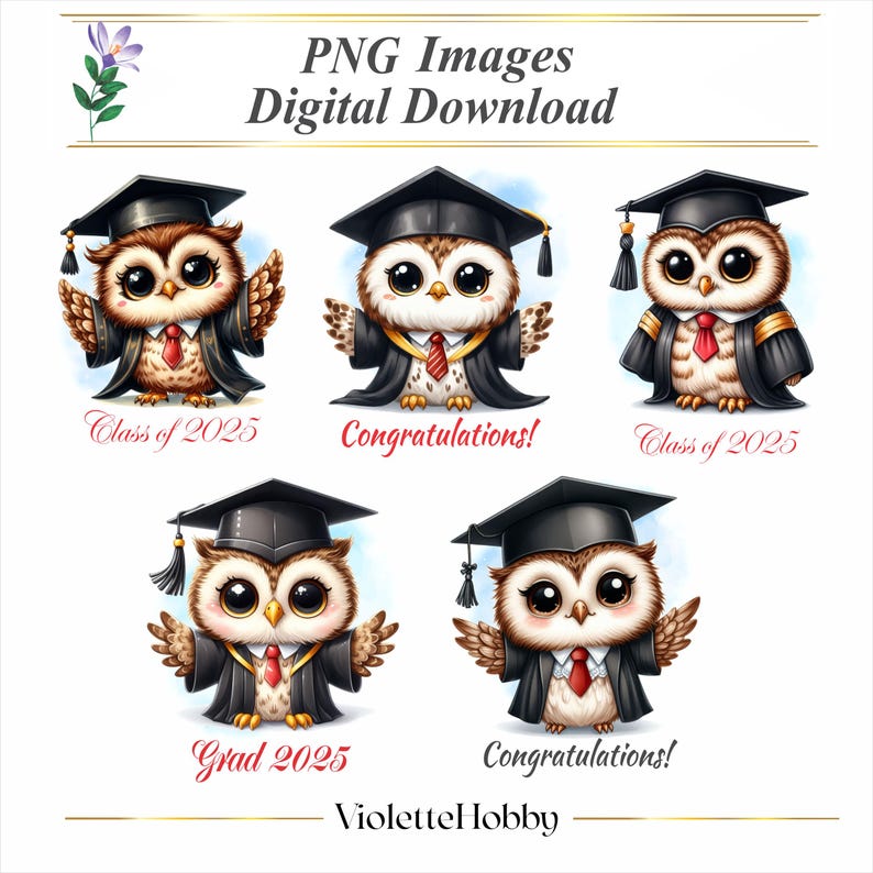5 Graduation Clipart/watercolor/digital Download /graduation Owl ...