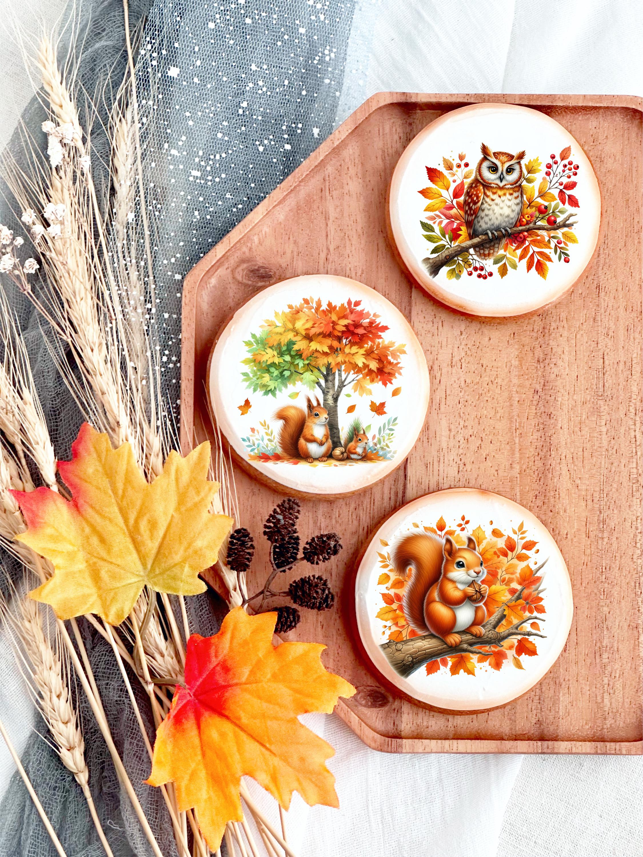 Autumn Animals PNG Images Collection Digital Download Fall Themed ...