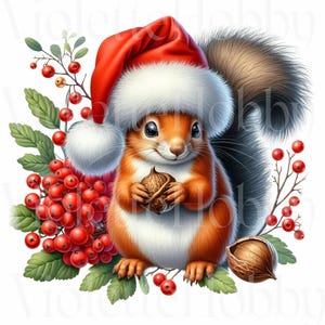Christmas Squirrel Clipart: Holiday Santa Hat PNG (digital Download) - Etsy
