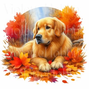 Autumn Animals PNG Images Collection - Digital Download Fall Themed ...