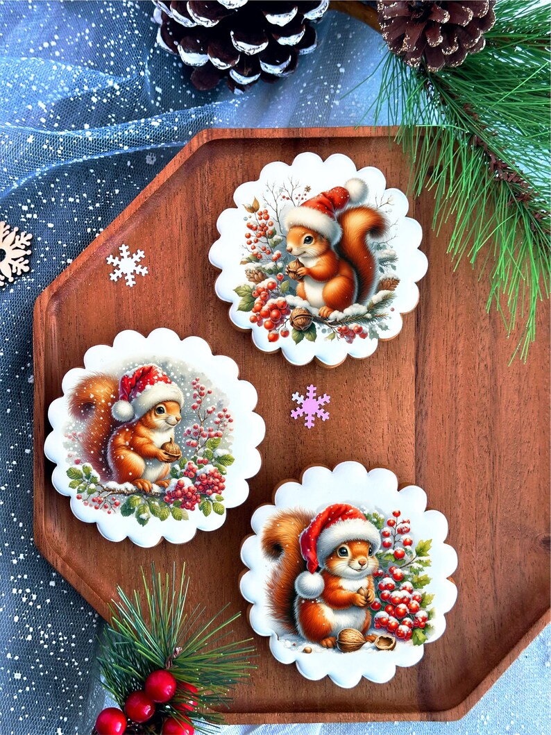 Christmas Squirrel Clipart: Holiday Santa Hat PNG (digital Download ...