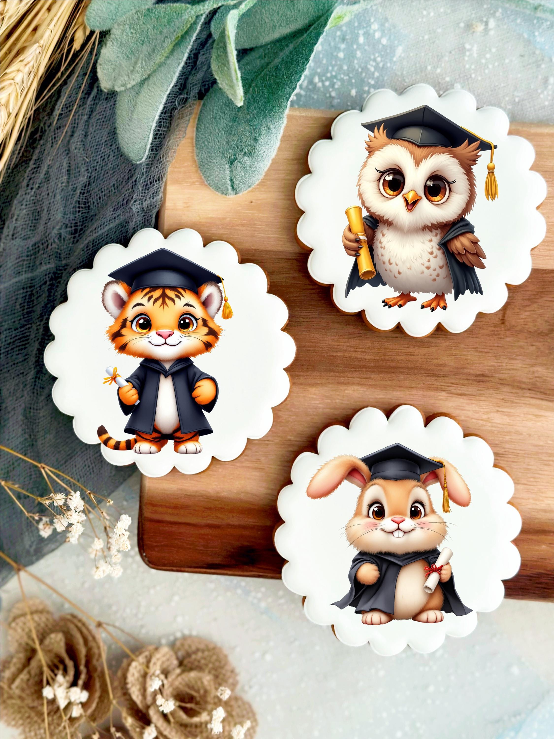 Graduation Animals Clipart PNG | Cute Animal Graduation Cap Clip Art ...