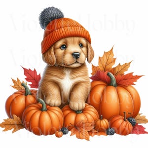 Autumn Animals PNG Images Collection - Digital Download Fall Themed ...