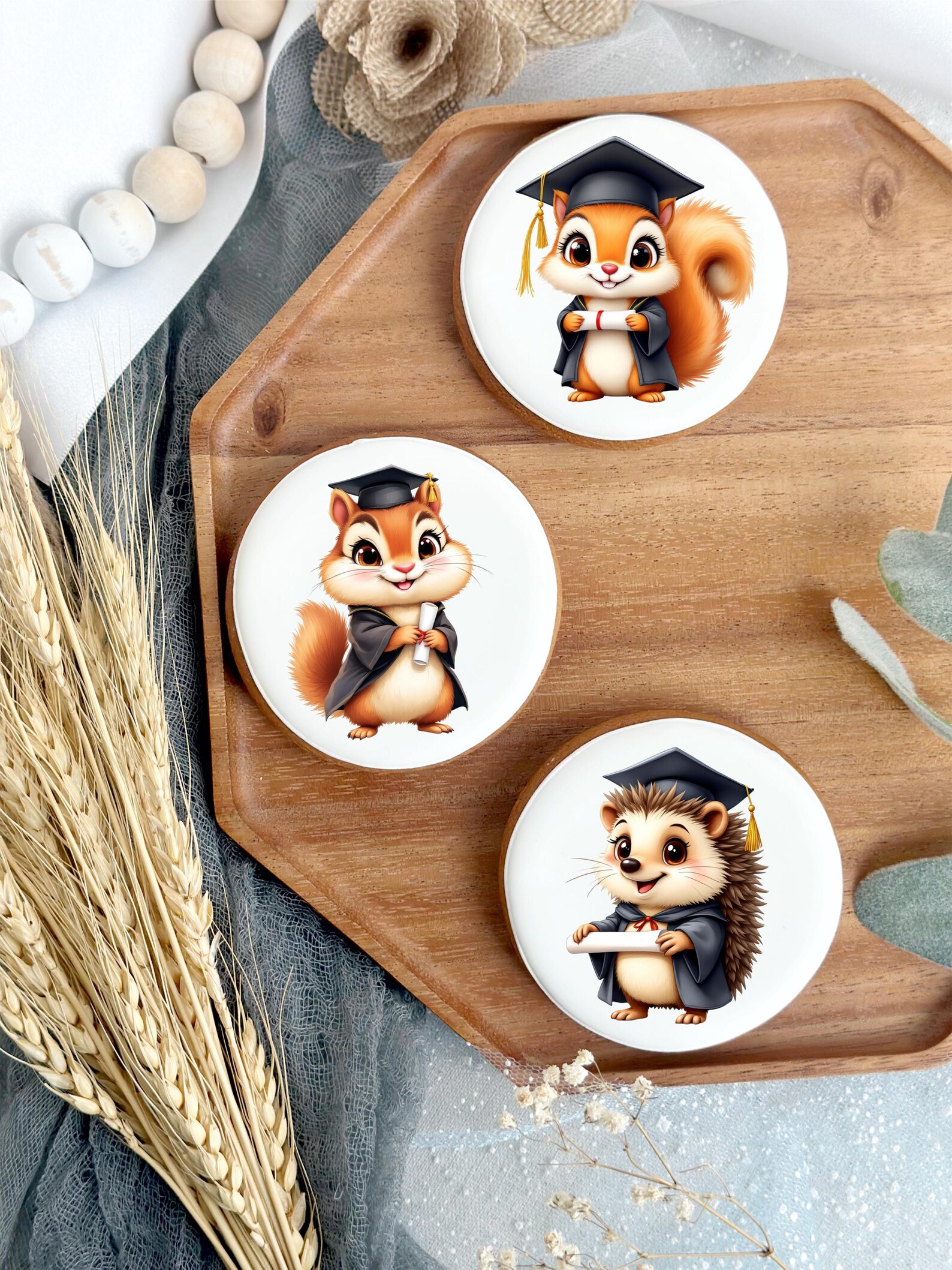 Graduation Animals Clipart PNG | Cute Animal Graduation Cap Clip Art ...
