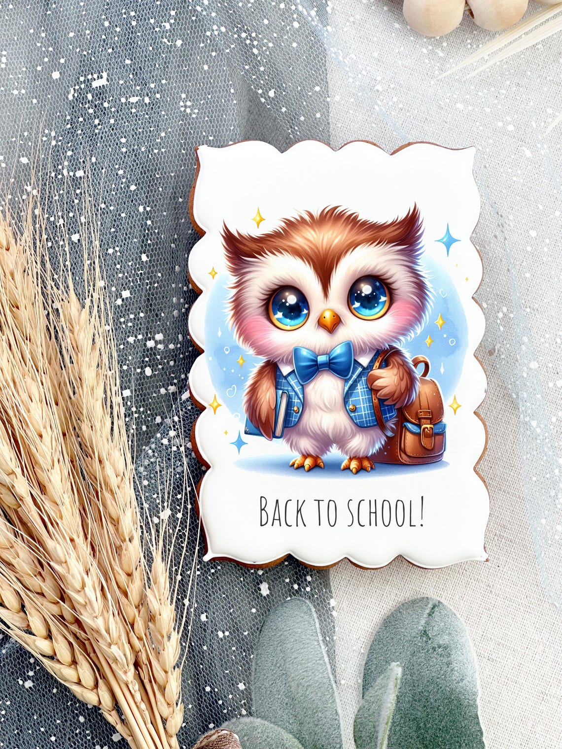 10 PNG/ Back to School/cute Owls/owl Illustration/digital Download Art ...