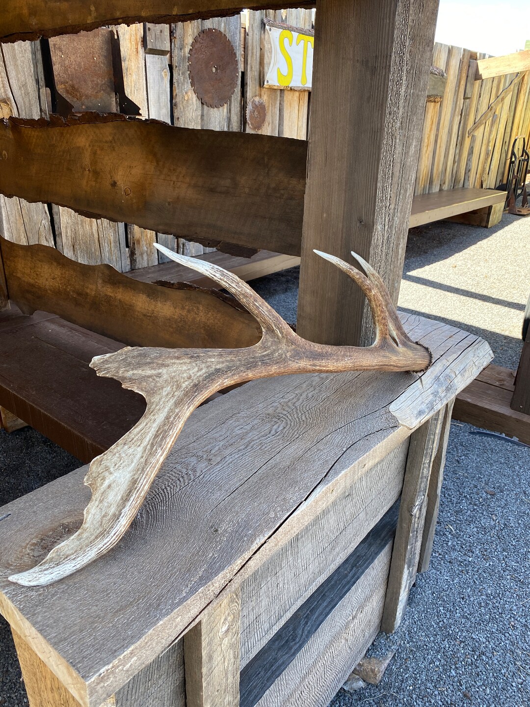 Unique Elk Shed ~ Antler ~ Decor - Etsy