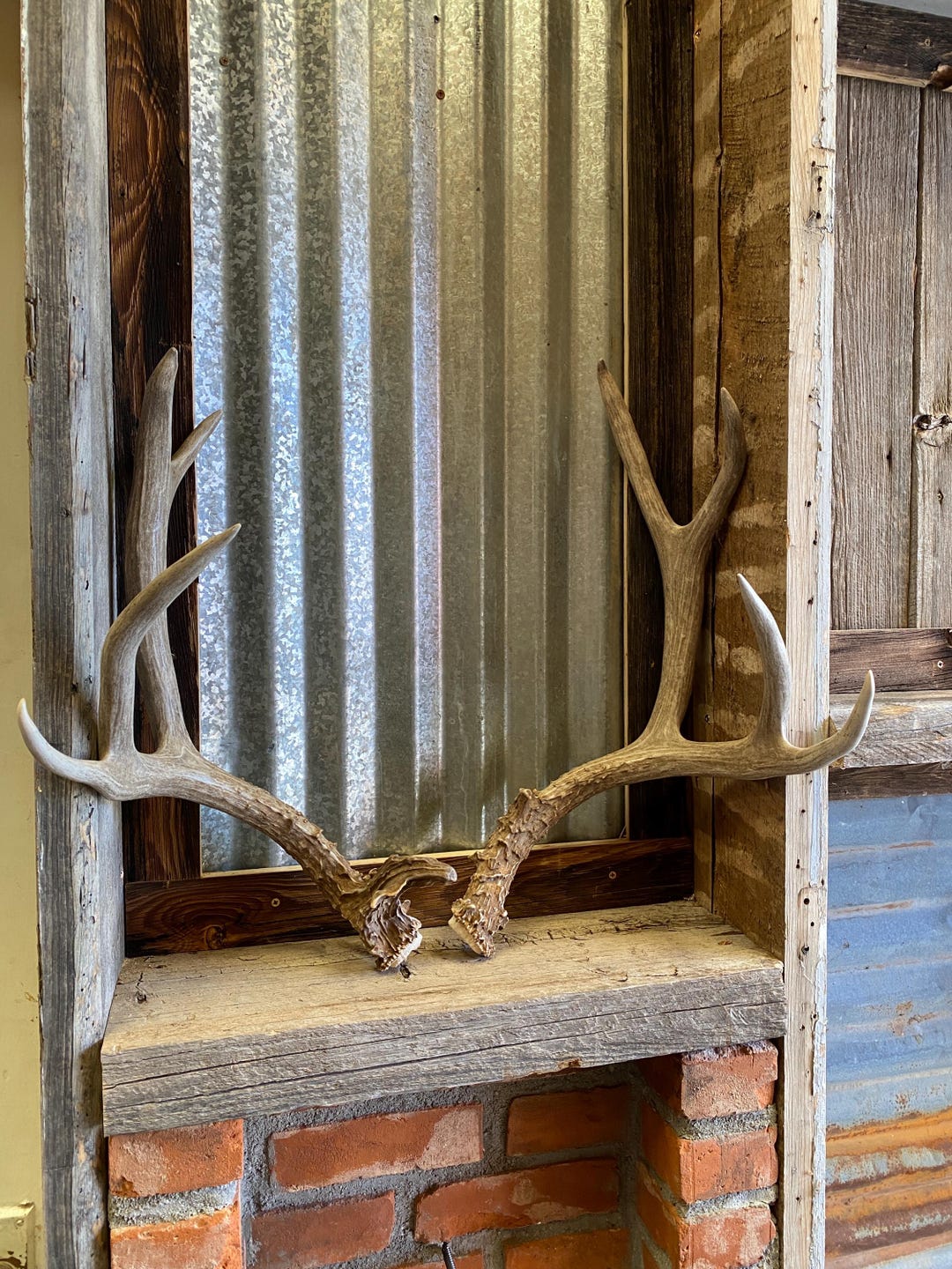 Very Unique Set of Mule Deer Sheds ~ Antlers - Etsy