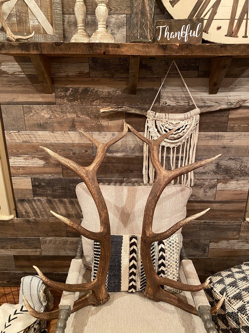 6x6 Set of Elk Sheds Antlers Decor - Etsy