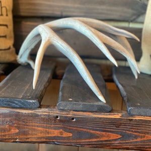 86” Mule Deer Shed ~ Antler - Etsy