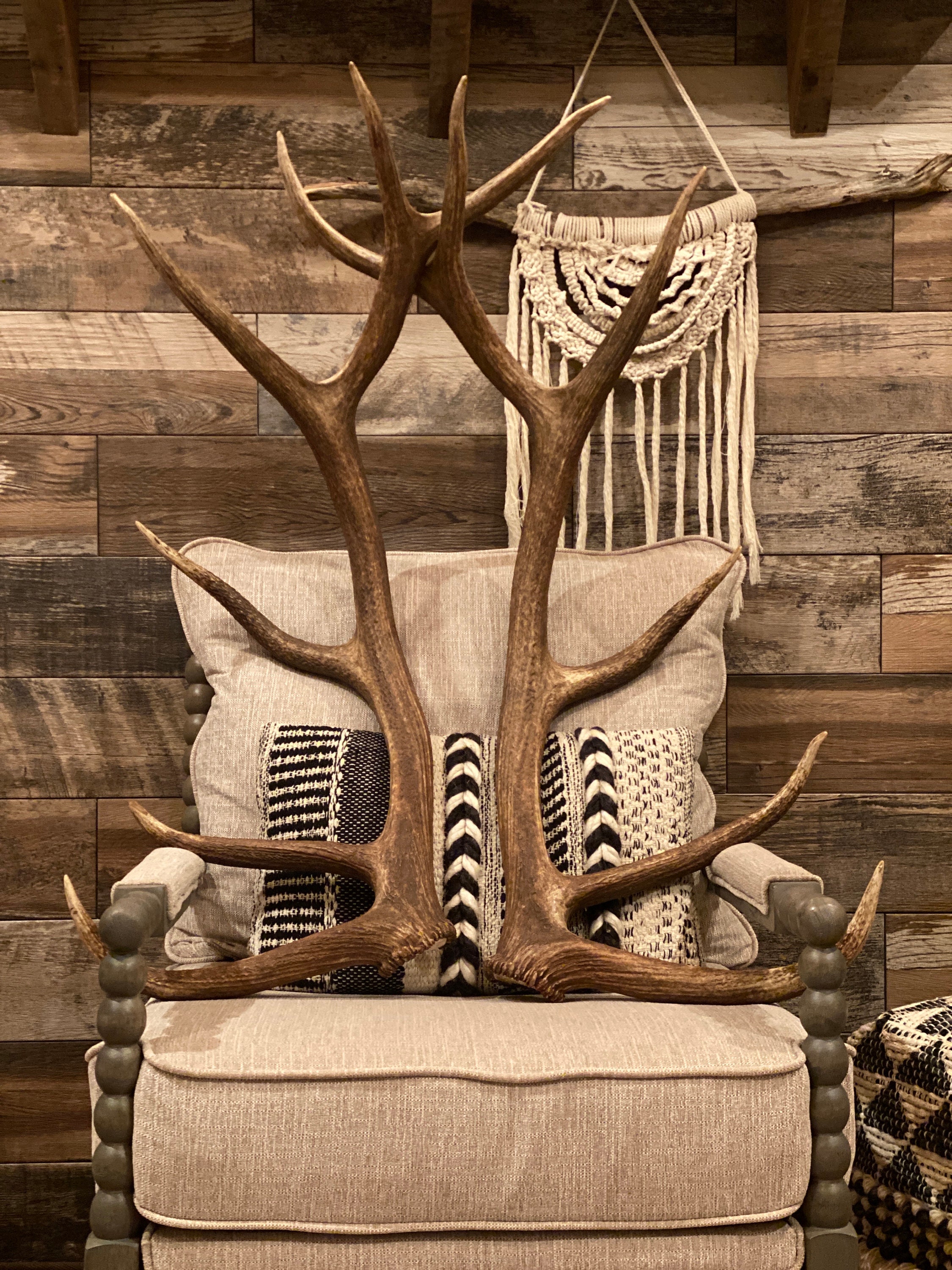 6x6 Set of Elk Sheds Antlers Decor - Etsy