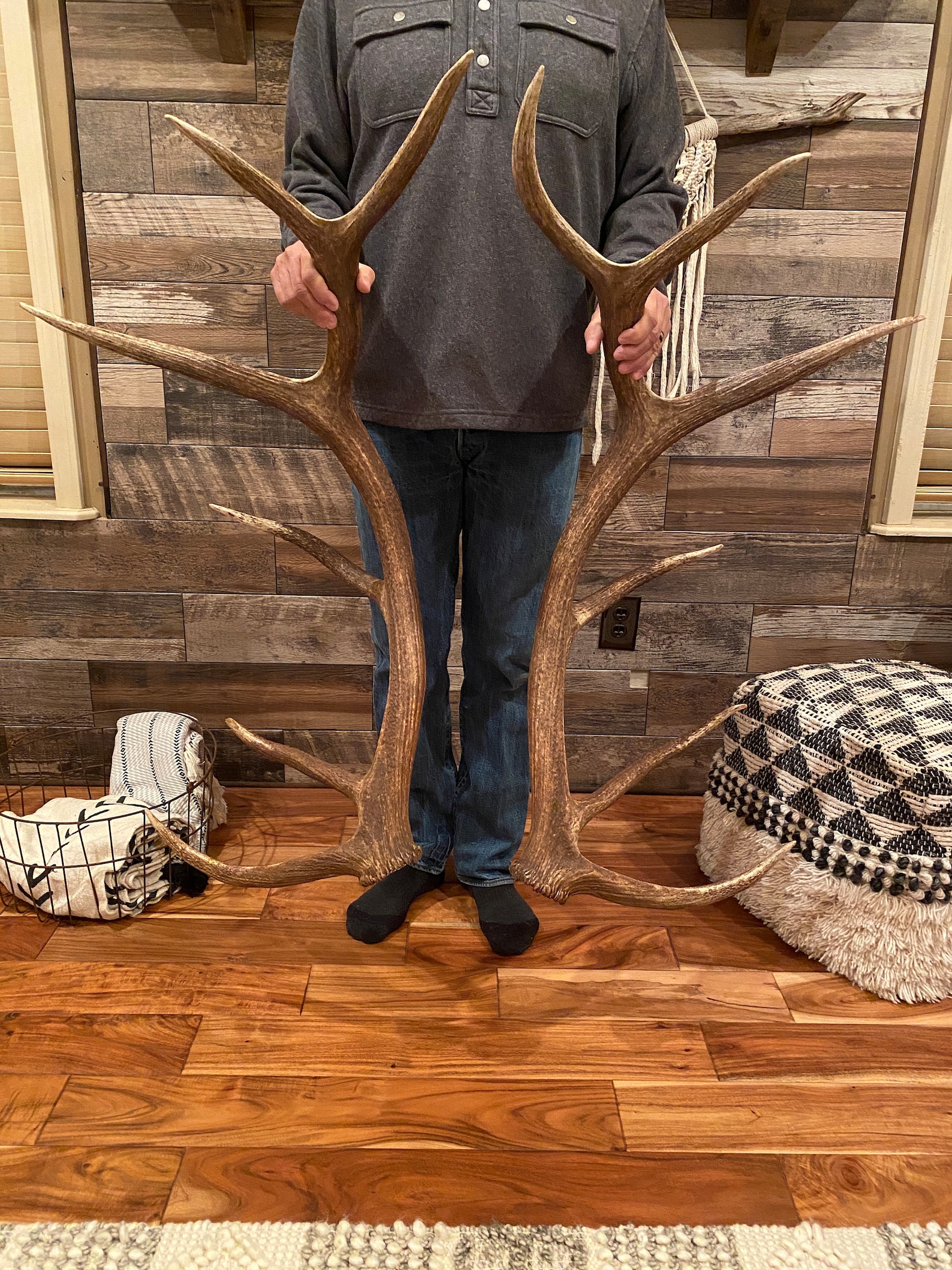 6x6 Set of Elk Sheds Antlers Decor - Etsy