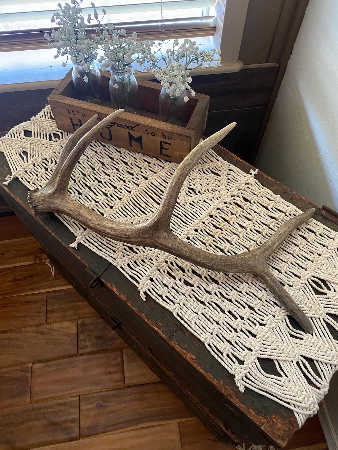 Decor Elk Shed Antler - Etsy