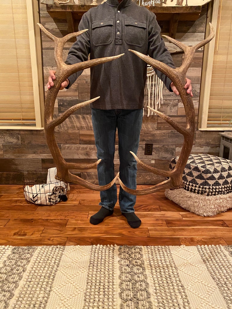 6x6 Set of Elk Sheds Antlers Decor - Etsy