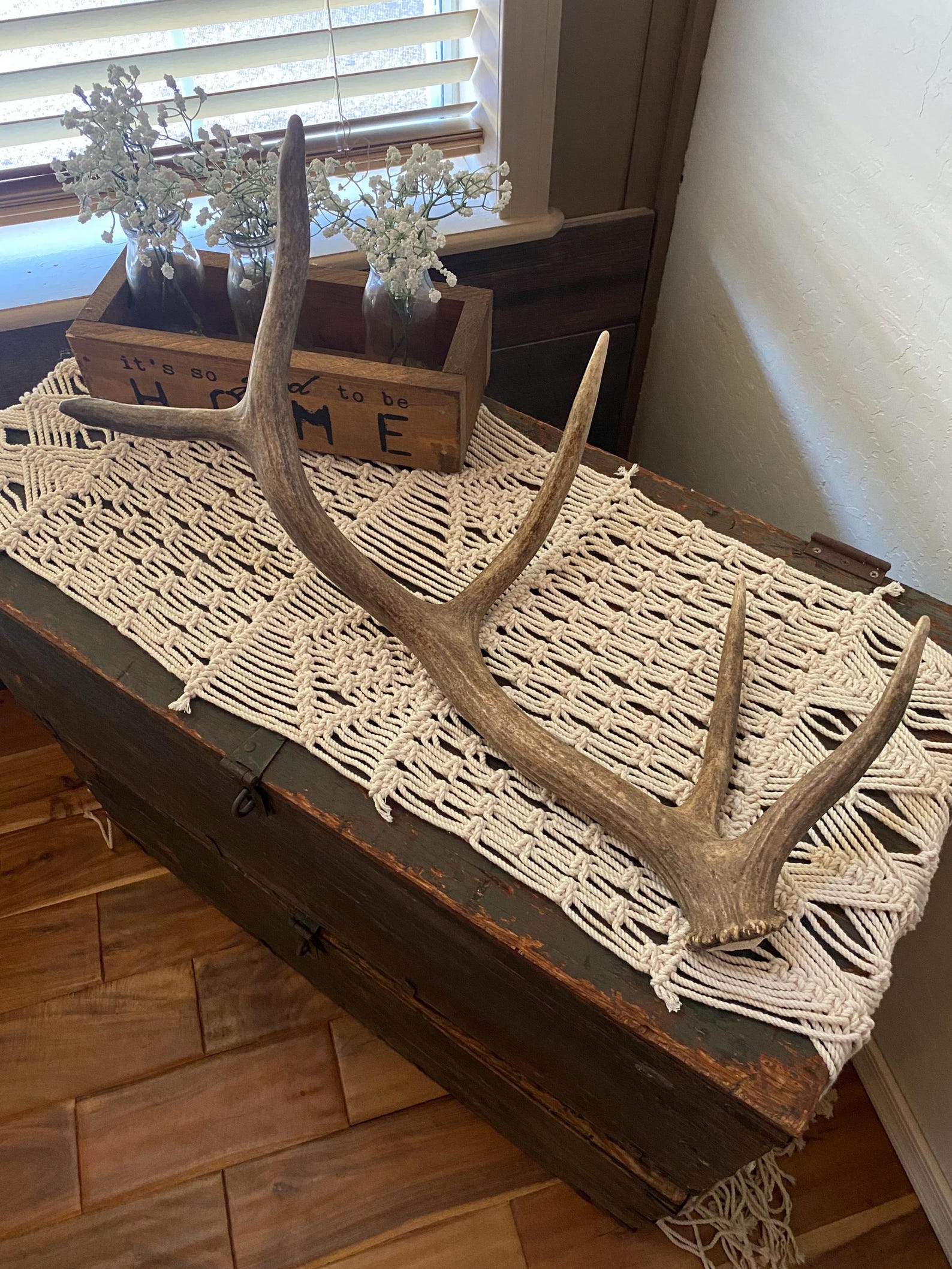 Decor Elk Shed Antler - Etsy