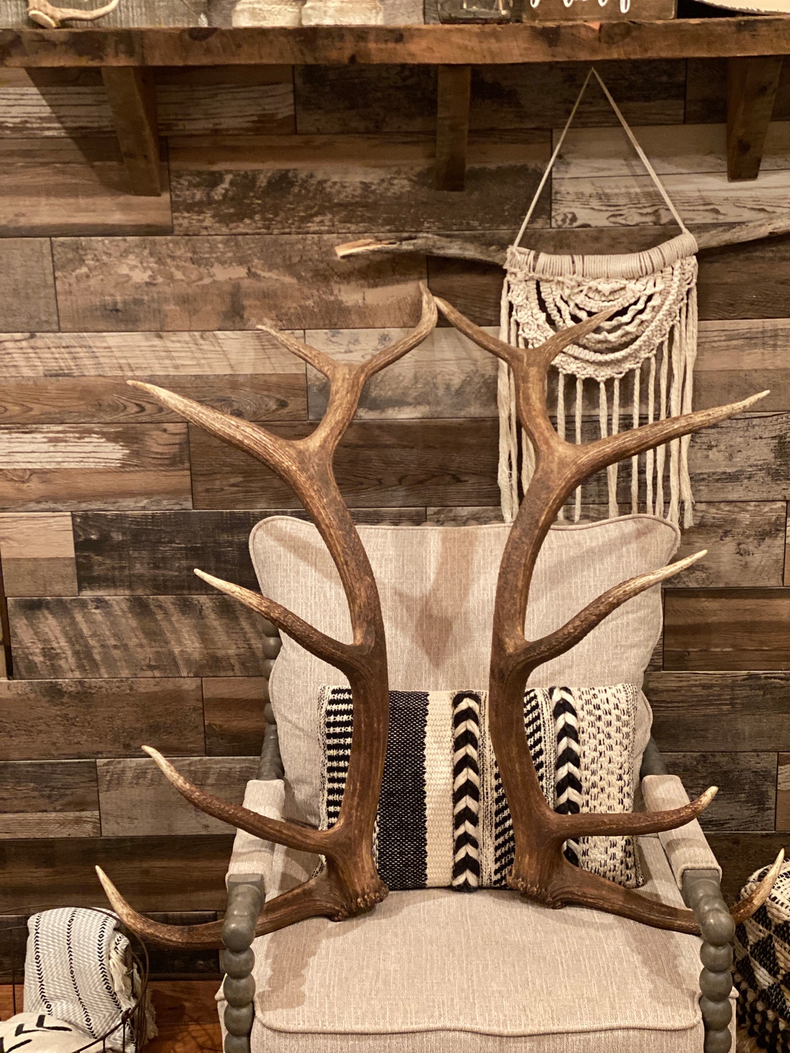 6x6 Set of Elk Sheds Antlers Decor - Etsy