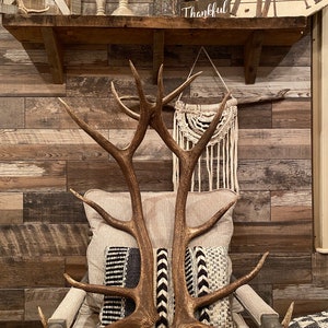 6x6 Set of Elk Sheds Antlers Decor - Etsy