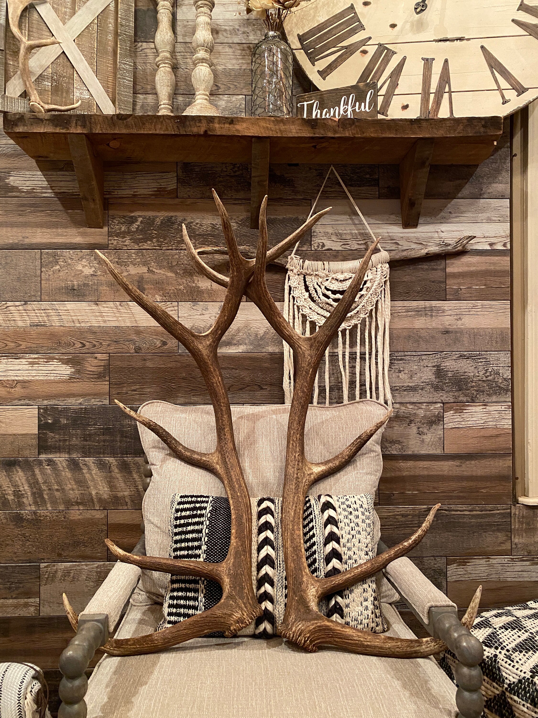 6x6 Set of Elk Sheds Antlers Decor - Etsy