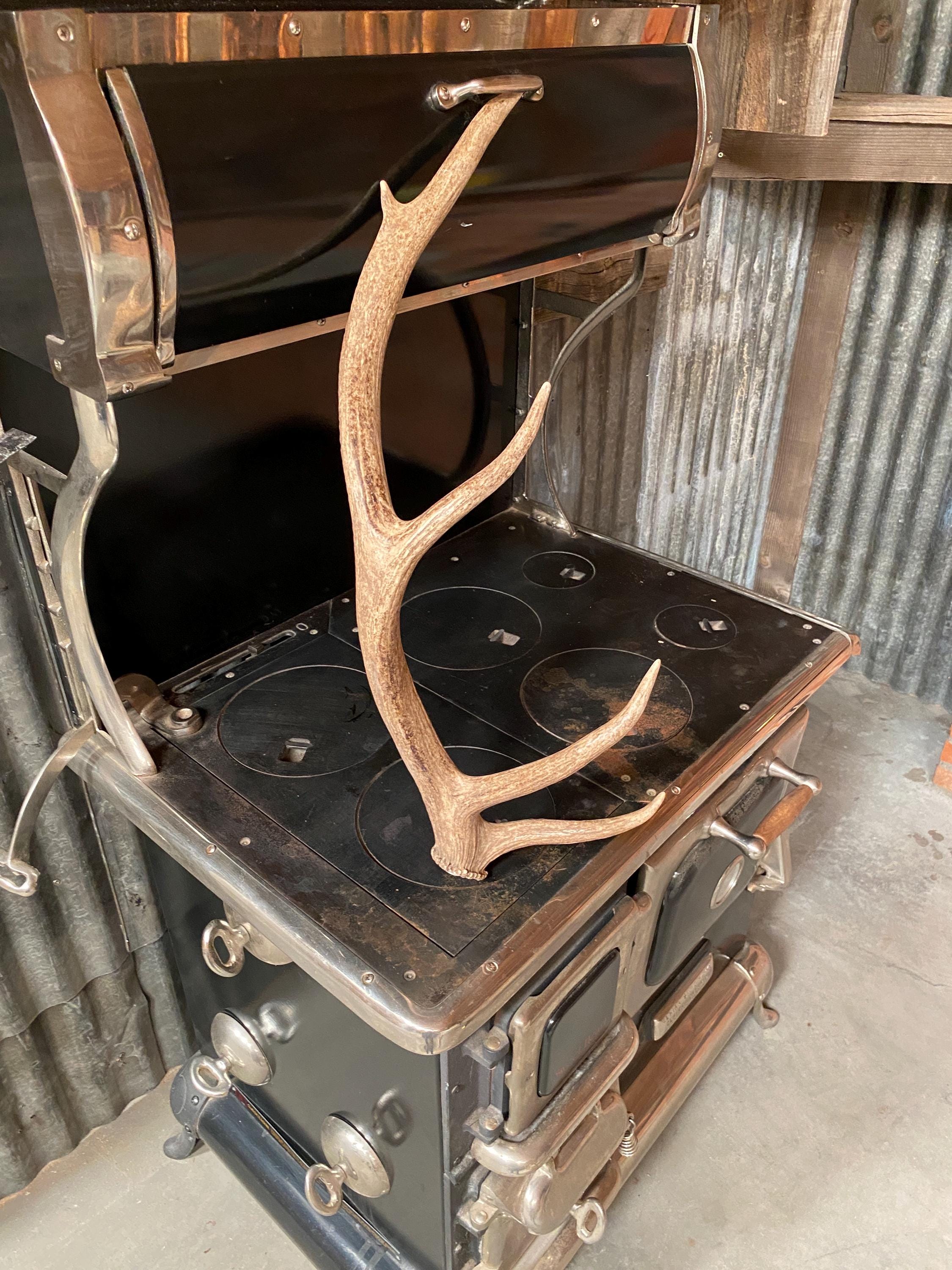 Decor Elk Shed ~ Antler - Etsy