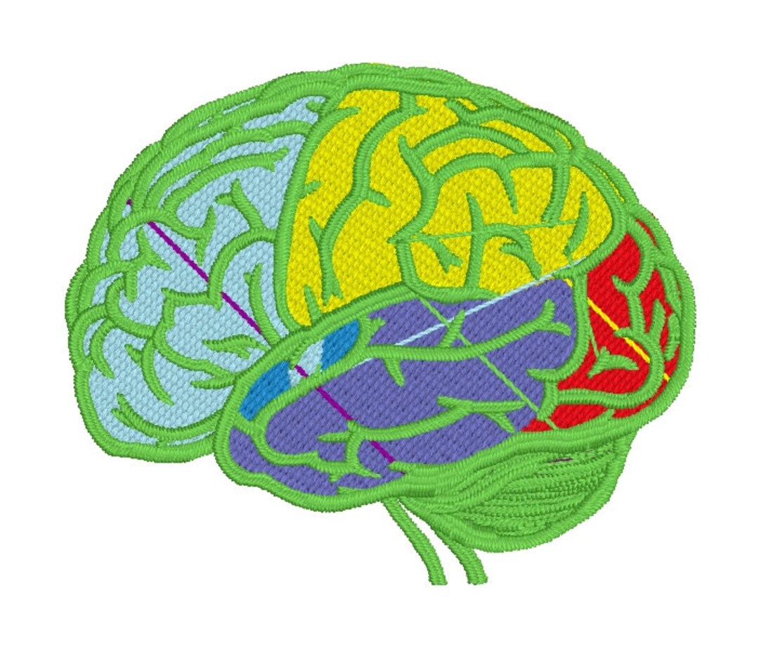 Human Brain Embroidery File Instant Download - Etsy