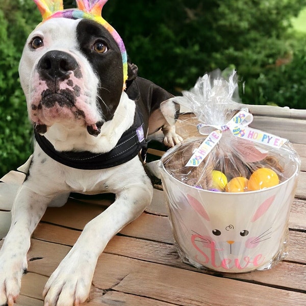 Dog Easter Basket - Etsy