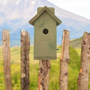 Rustic Cedar Bluebird Nesting Box, Wooden Blue Bird House, Handmade ...