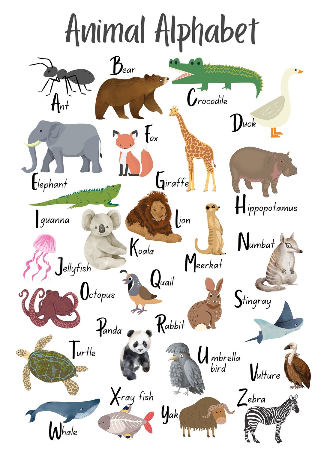 Animal Alphabet - Etsy