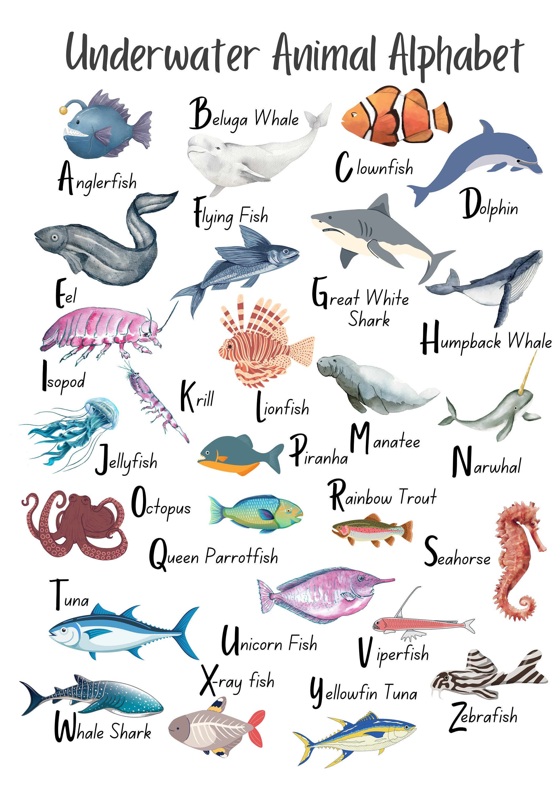 Underwater Animal Alphabet - Etsy