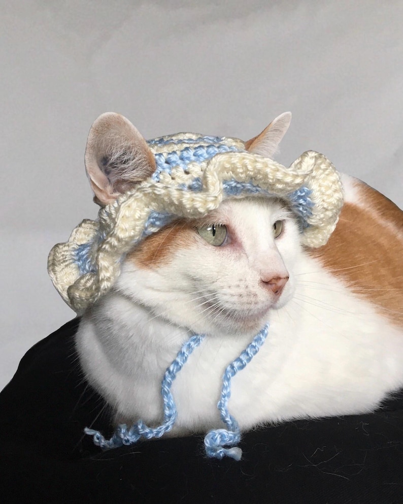 Crochet Pattern | Crochet Bucket Hat for Cats Pattern, PDF Crochet ...
