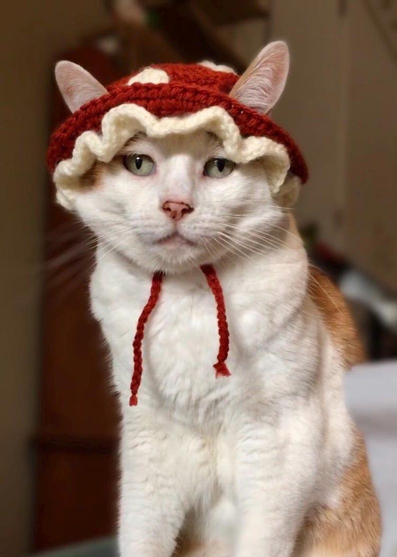 Crochet Pattern | Crochet Mushroom Hat for Cats Pattern, PDF Crochet ...