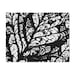 Lacey Leaf Organic Design Placemat. A Close-up View of Black Lacey ...
