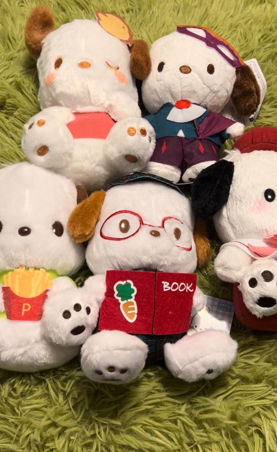 Pochacco Reading Book - Etsy