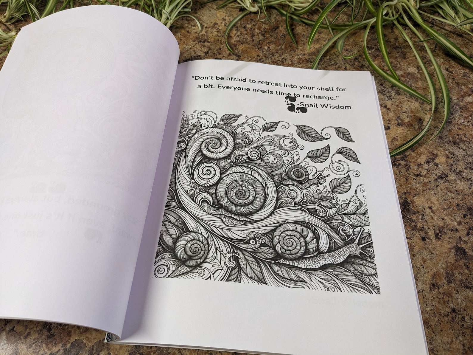 50 Pages Adult Coloring Book and Snail Wisdom - Etsy