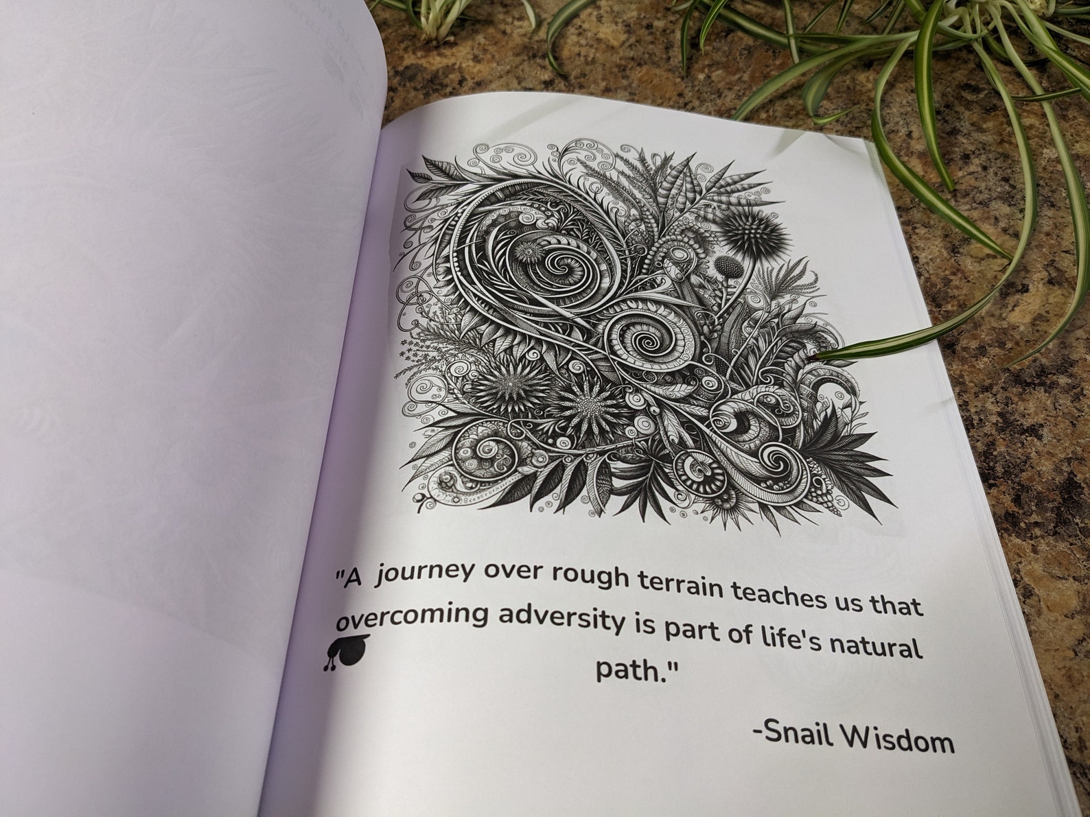 50 Pages Adult Coloring Book and Snail Wisdom - Etsy