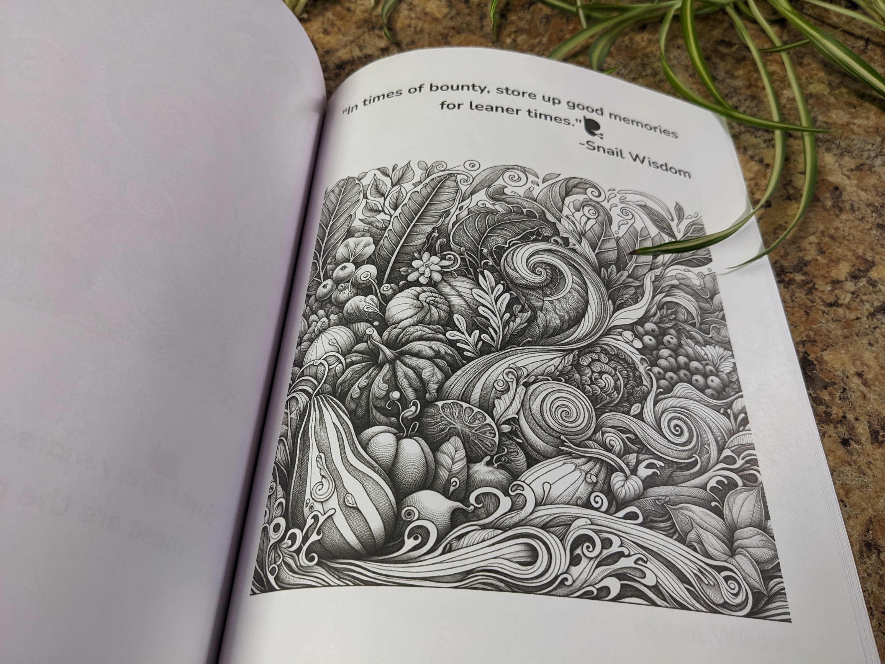 50 Pages Adult Coloring Book and Snail Wisdom - Etsy