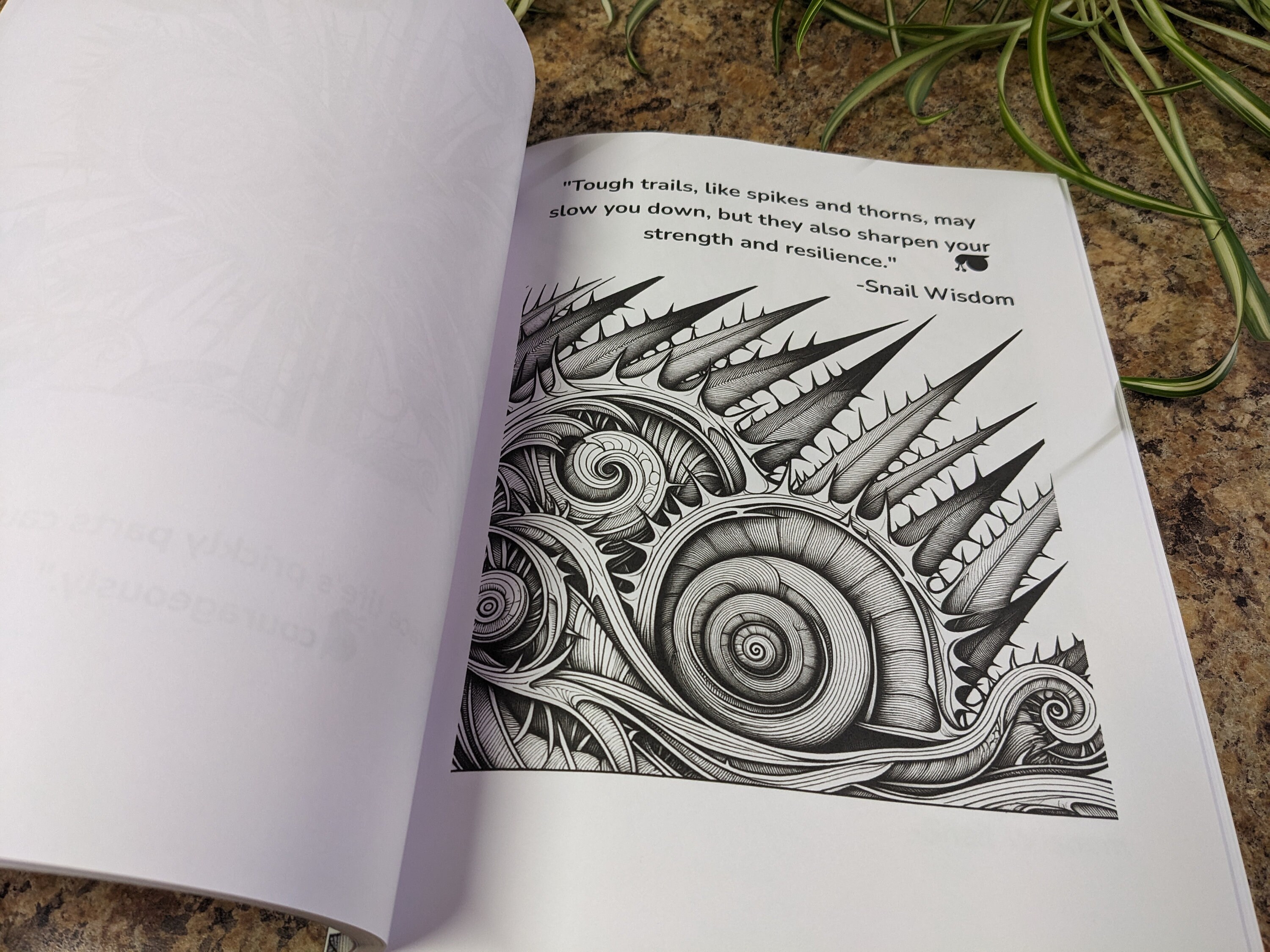 50 Pages Adult Coloring Book and Snail Wisdom - Etsy