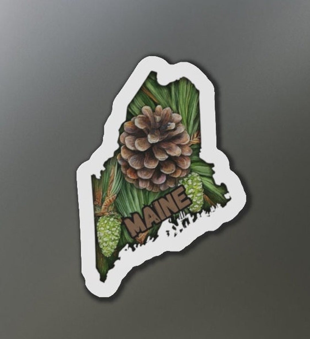 Maine State Flower Die-cut Magnet Fifty States Collection - Etsy
