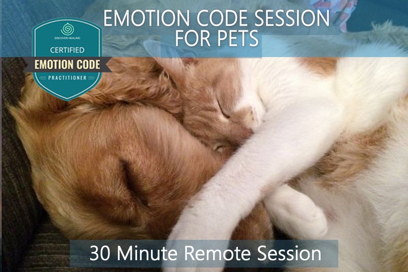 Emotion Code Session for Pets - 30 Minutes - Etsy