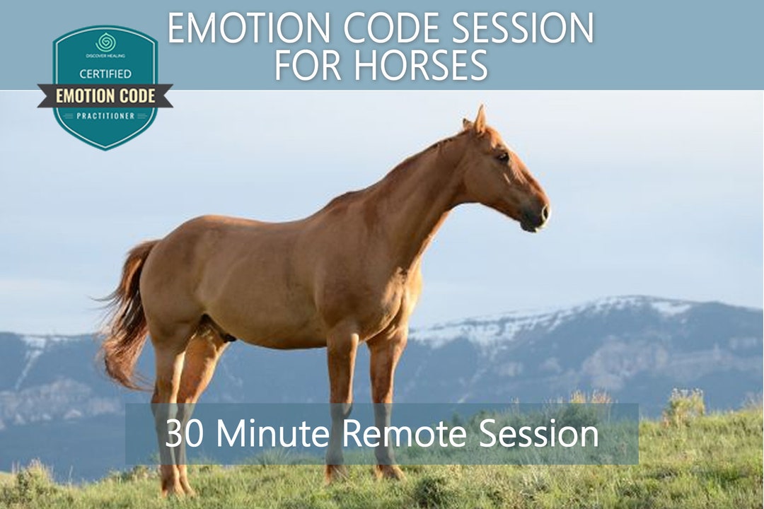 Emotion Code Session for Horses - 30 Minute Session - Etsy