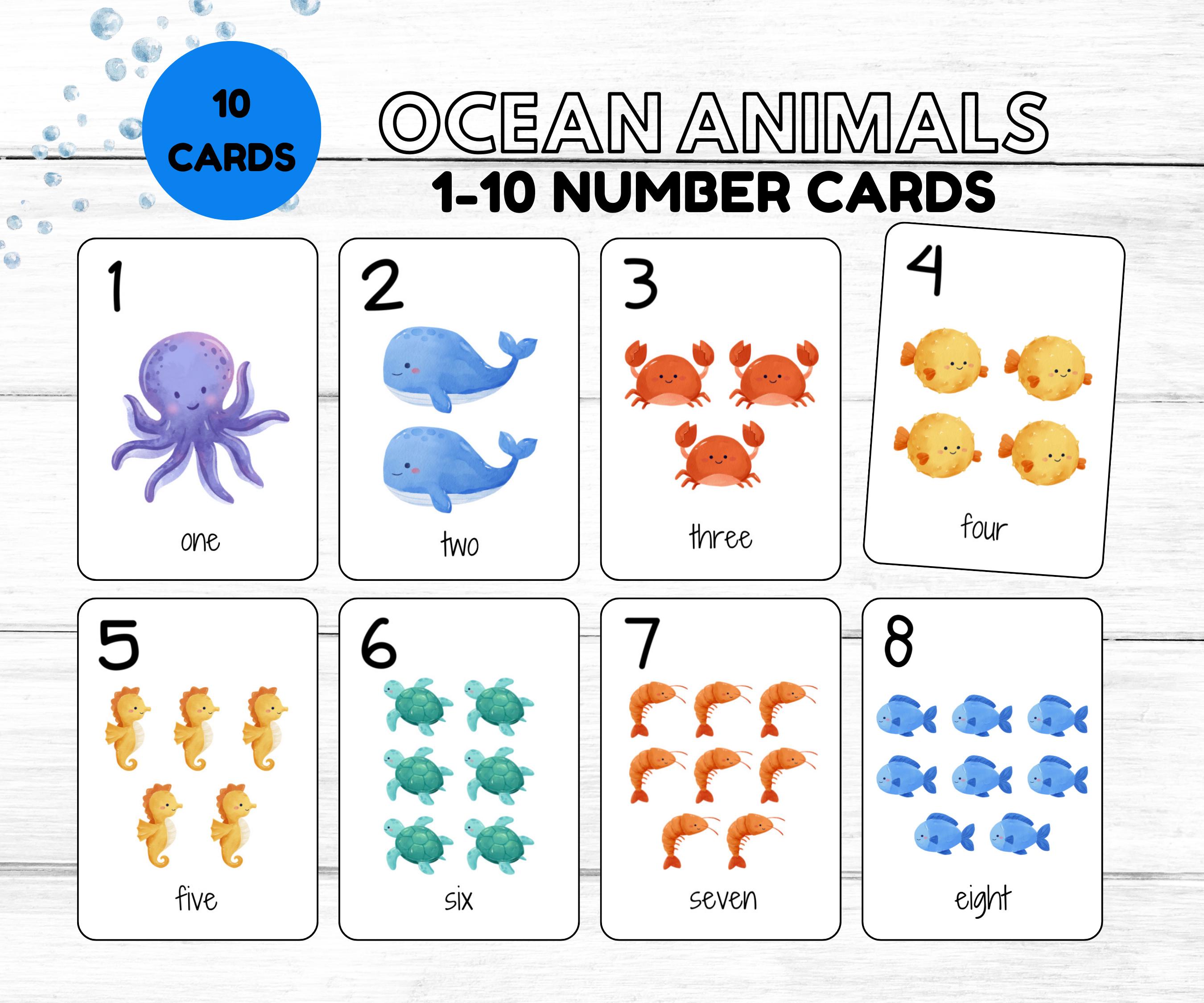 Ocean Number Cards, Sea Animal 1-10 Flashcards, Counting, Educational ...