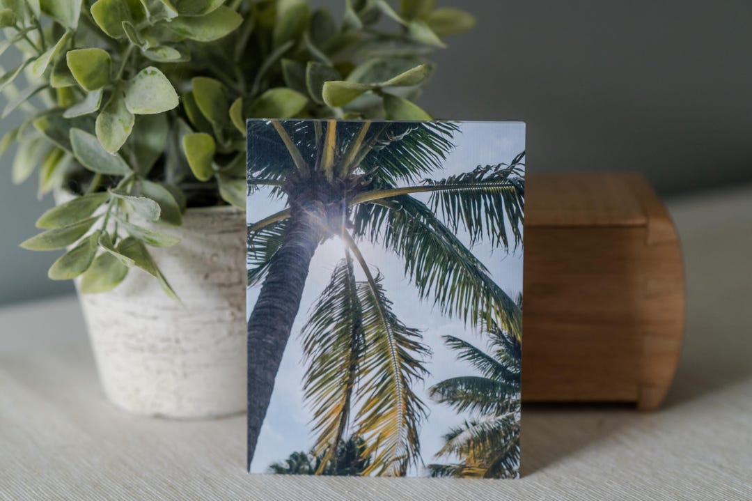 Peaceful Palms - Folded Notecards (set of 10) - Etsy