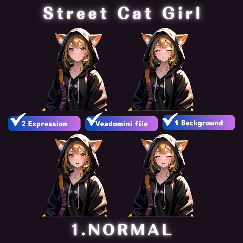 Premade Pngtuber Model Street Cat Girl Vtuber Model Cute Female PNG ...