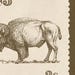 Vintage Buffalo Postage Stamp Print: Americana Bison Wall Art - Etsy