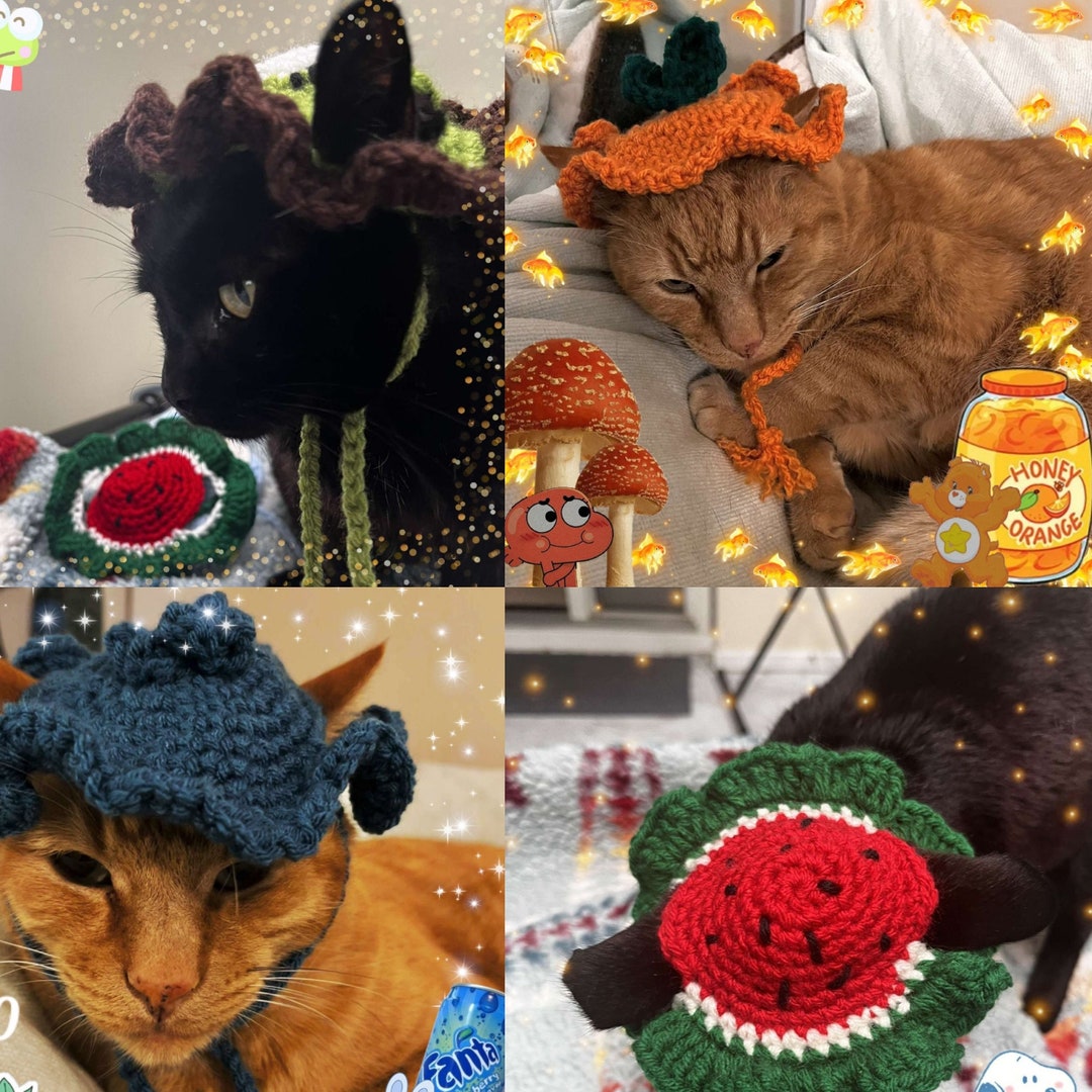 Cat Hats! - Etsy