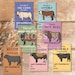 Cows Cattle Western Valentine's Day Cards Digital Template | 3.5"x4 ...