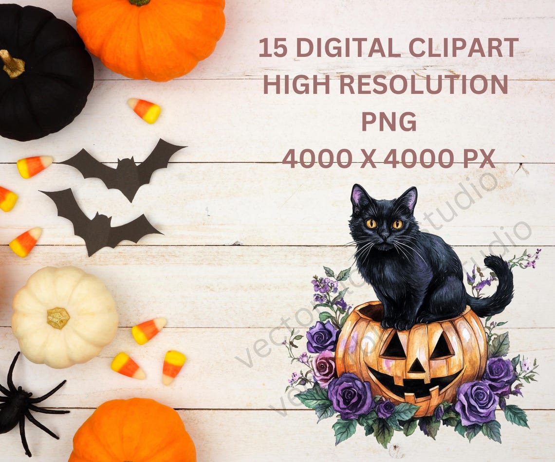 Watercolor Halloween Black Cat Clipart: Pumpkin PNG Bundle (commercial ...