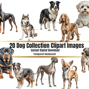 Dog Breed Clipart: 20 Adorable Illustrations (digital Download) - Etsy